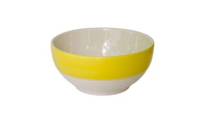 Bowl: Purpose, Varieties and Recommendations for Choosing