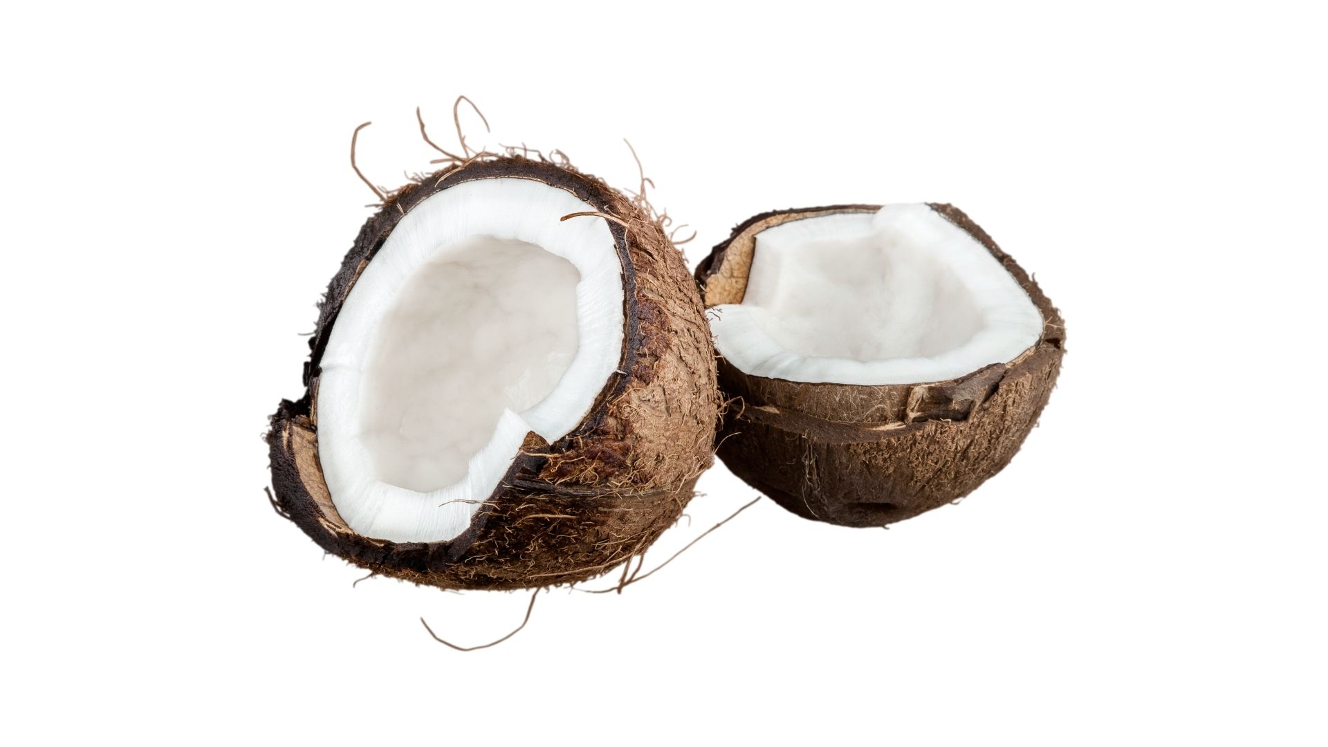 Bowl: Purpose, Varieties and Recommendations for Choosing