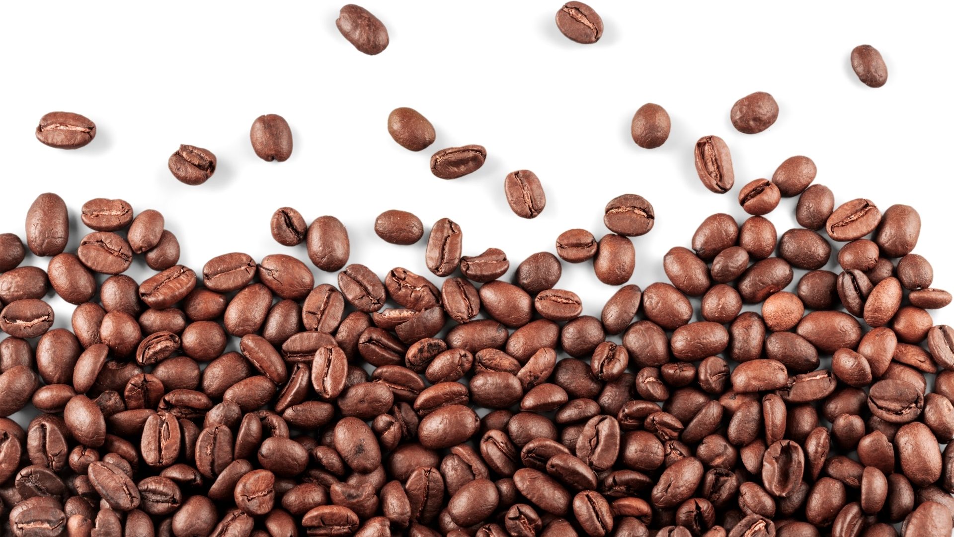 Which Can for Coffee is Better: Choice by Material