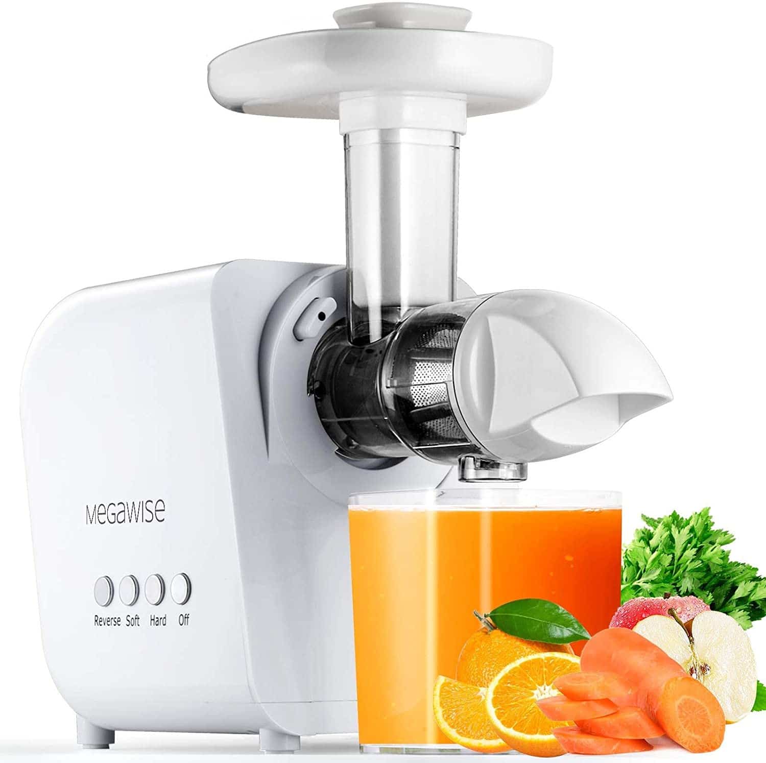 The 10 Best Masticating Juicers of 2021