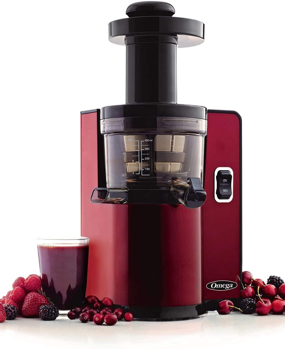 The 10 Best Masticating Juicers of 2021