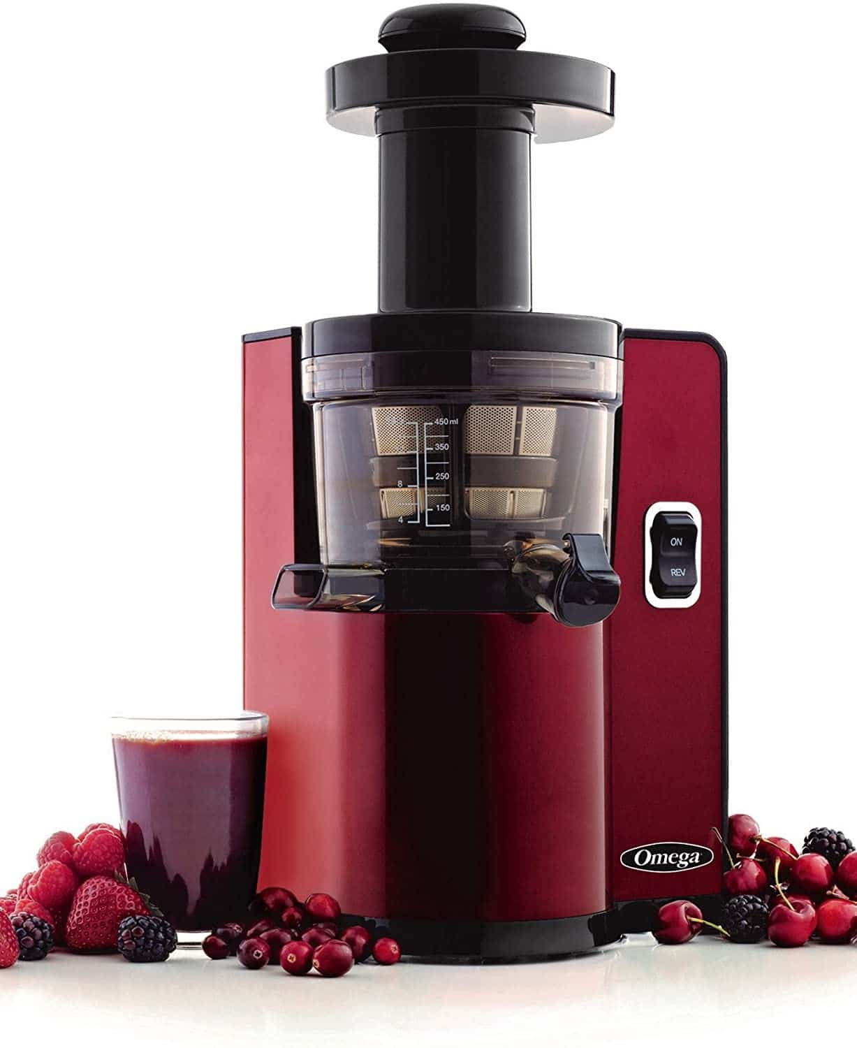 The 10 Best Masticating Juicers of 2021