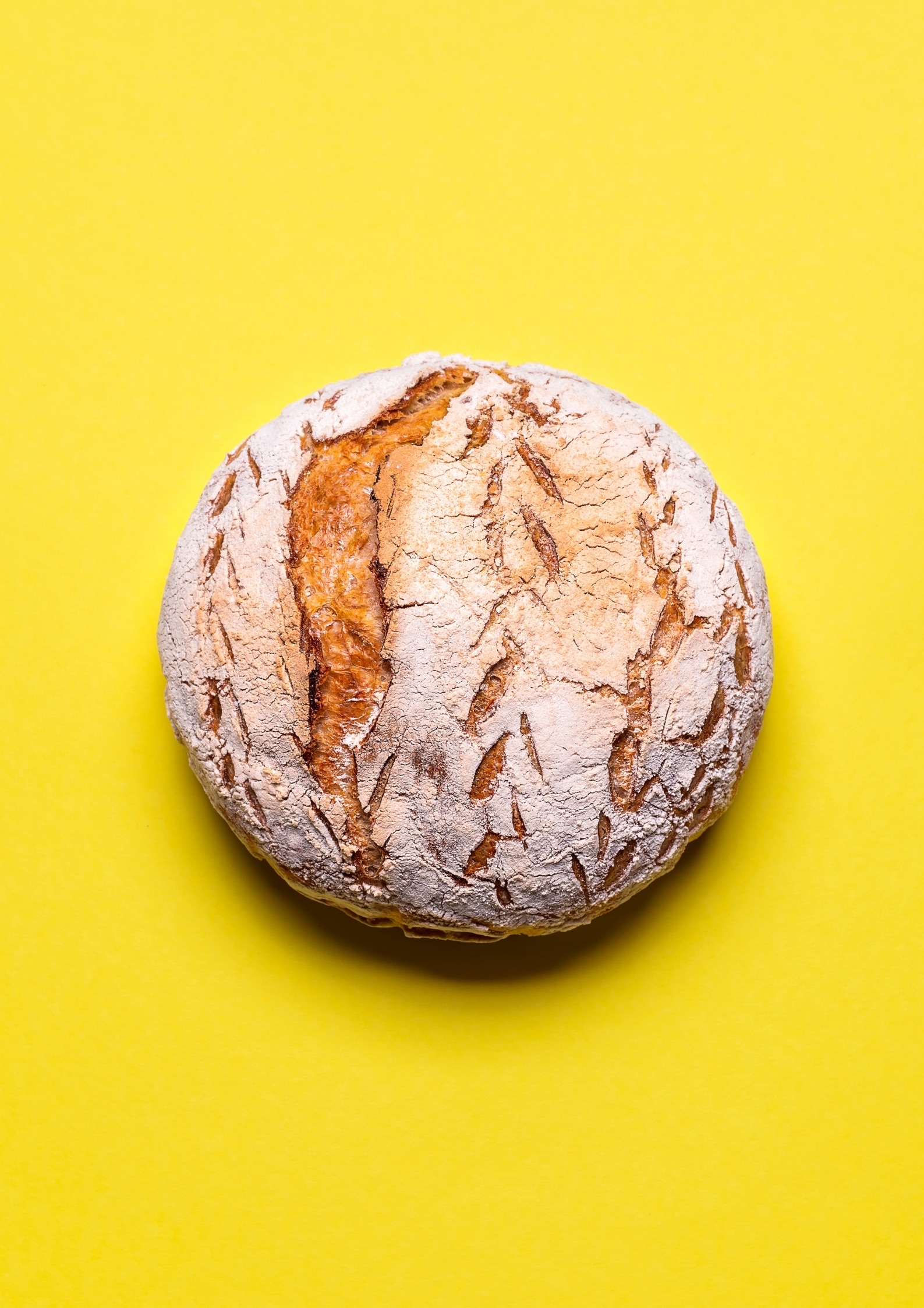 Types of Bread Knives and Criteria for Choosing the Best One