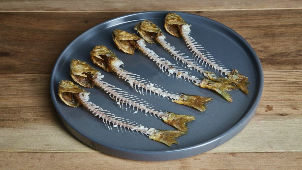 Choosing a Plate for Picking up Bones at Lunchtime