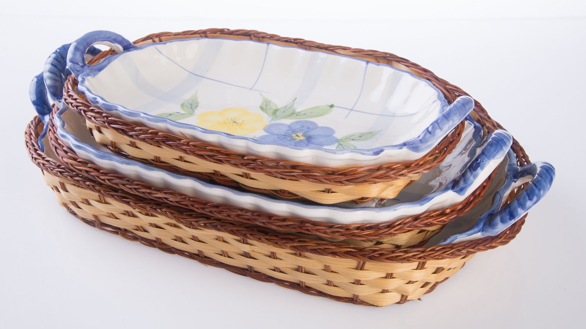 Choosing a Plate for Picking up Bones at Lunchtime