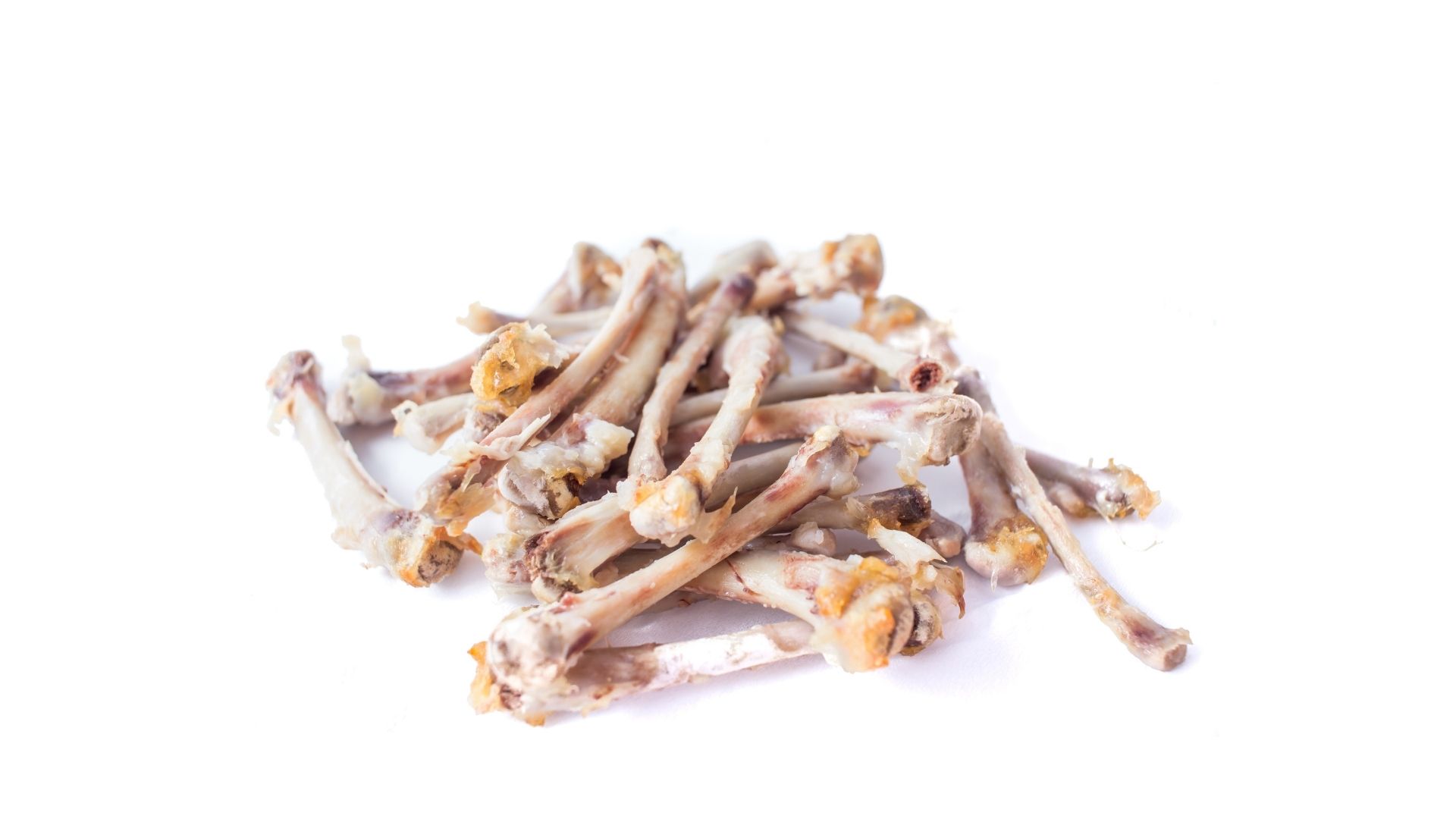 Choosing a Plate for Picking up Bones at Lunchtime