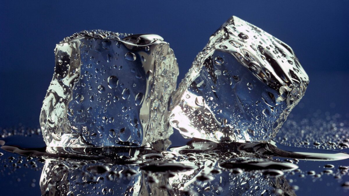 The 10 Best Ice Makers of 2024