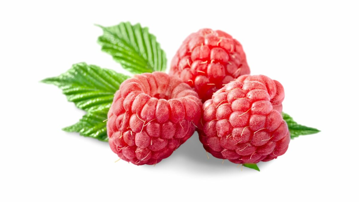 The 10 Best Extracts of 2023