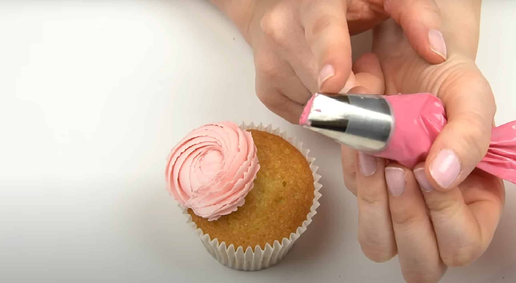 The 10 Best Piping Tips of 2026